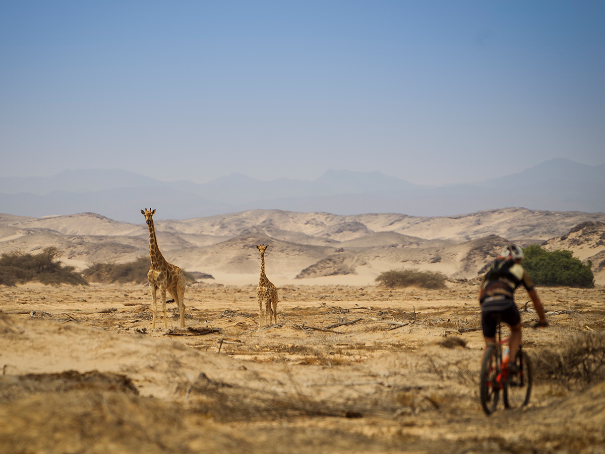 Beyond The Desert Edge | Dunlop Tyres SA